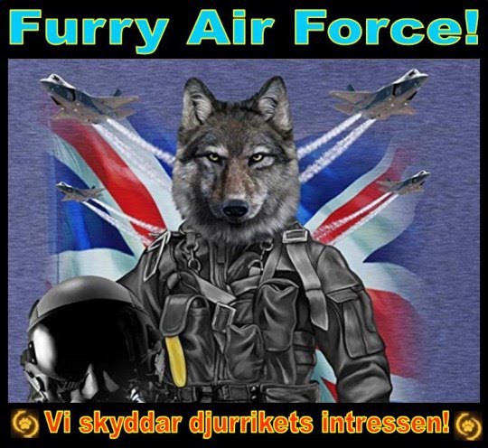 Furry Air Force :: Smirres-furrysida
